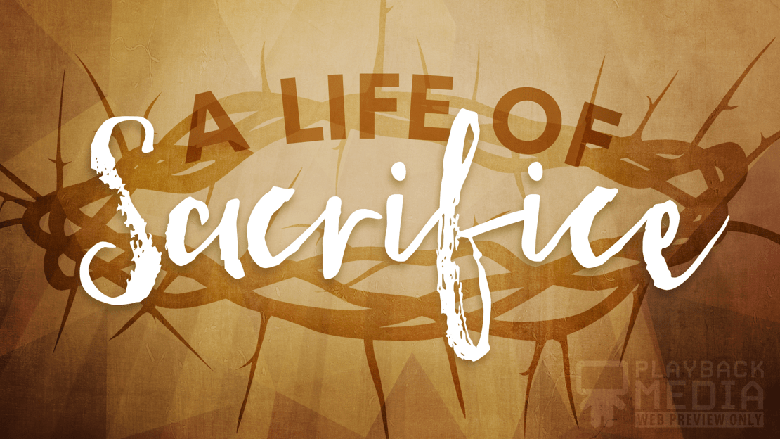 Sacrifice: Uniting Values, Fostering Growth, and Nurturing Connections ...